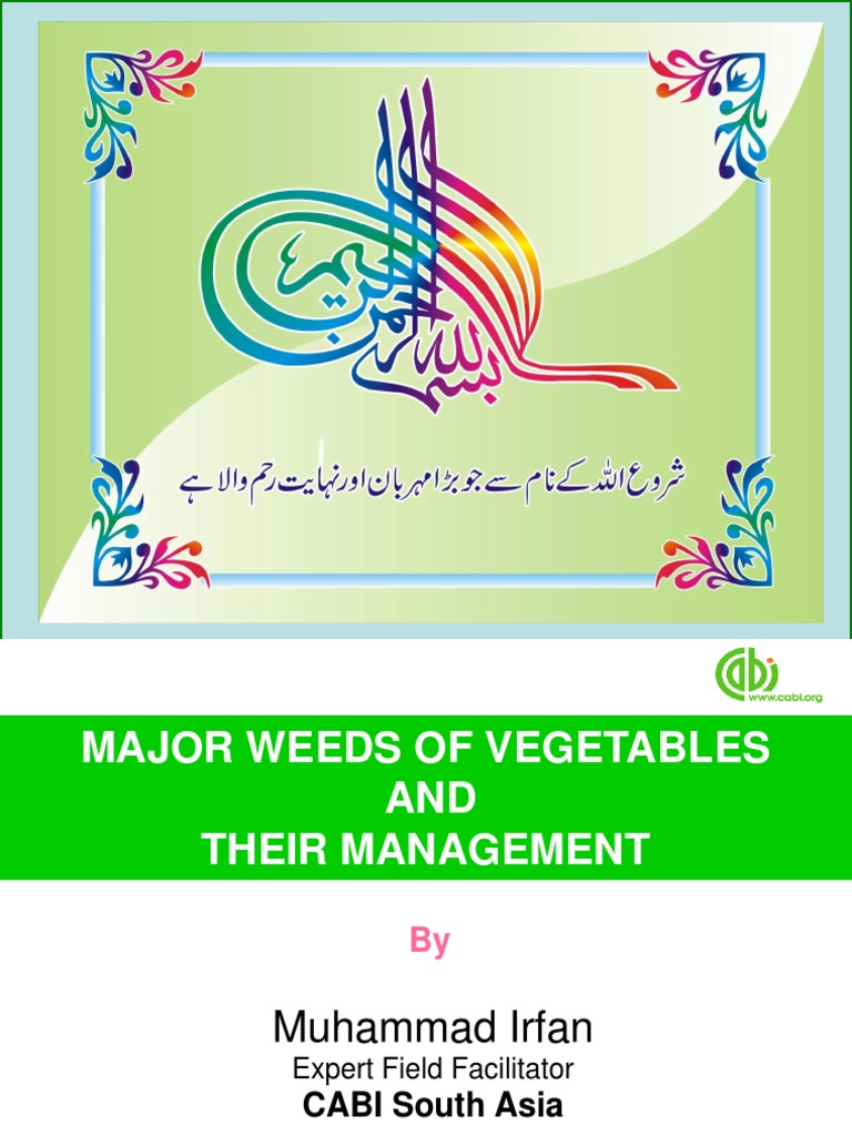 Weeds | PDF | Weed | Seed