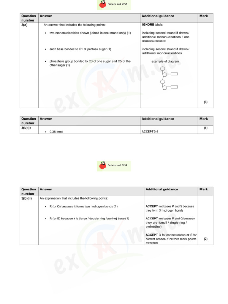 Protein and Dna Answers | PDF