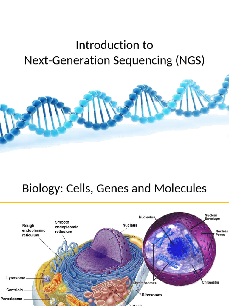 Next Generation Sequencing | PDF | Dna Sequencing | Primer (Molecular Biology)
