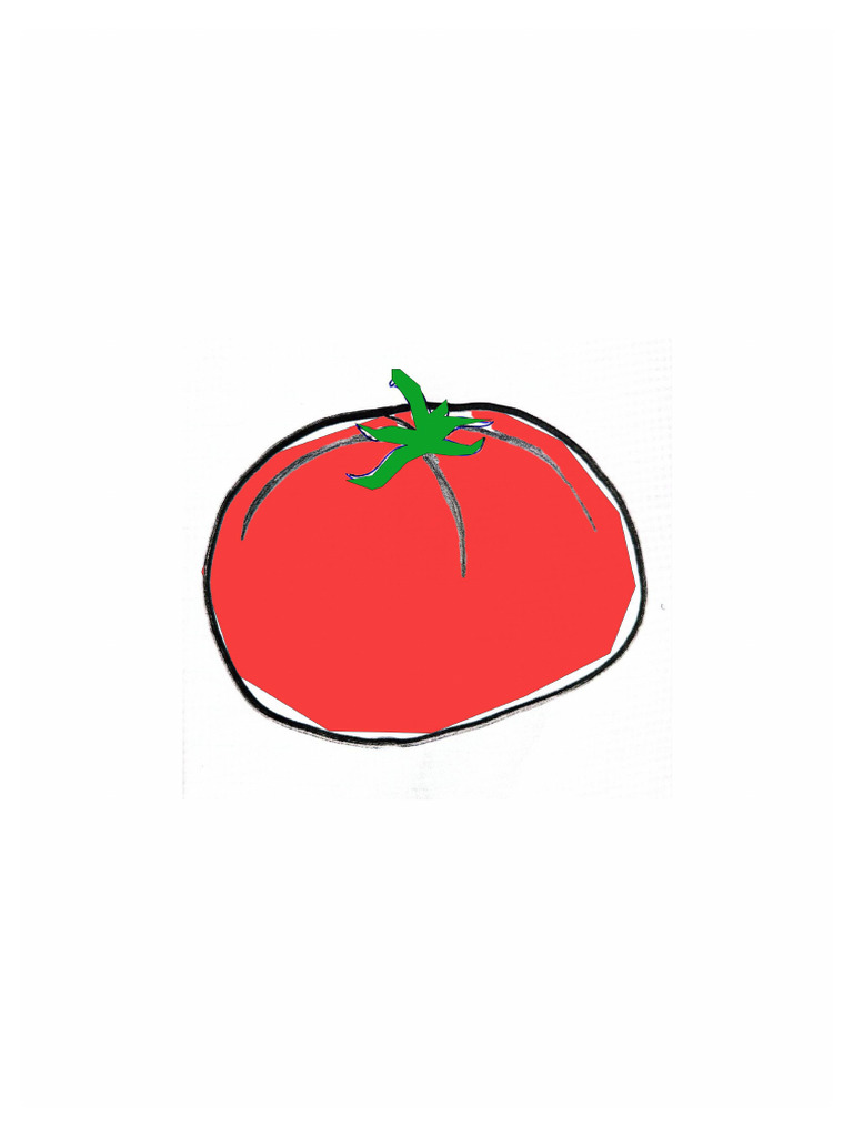 Tomato | PDF