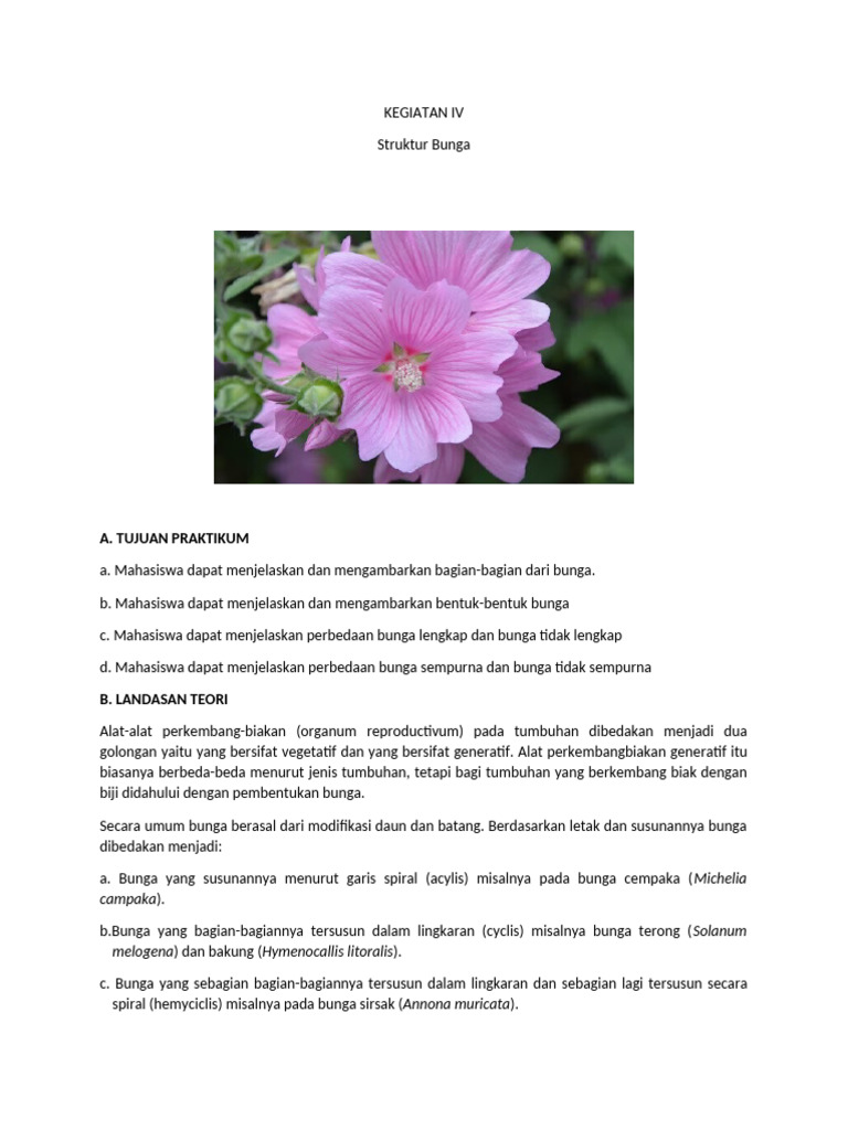 Praktikum Biologi (Botani) Morfologi Tumbuhan Kegiatan 4 Bunga-1 | PDF