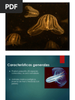 Ctenóforos | PDF | Anatomía | Zoología