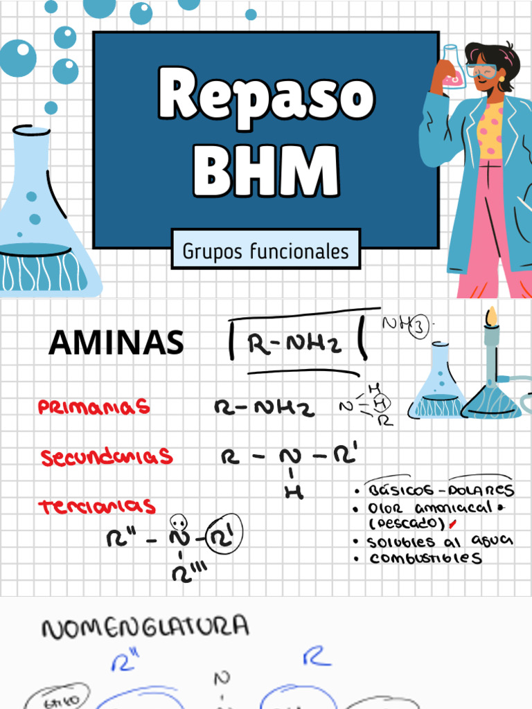 Repaso BHM | PDF