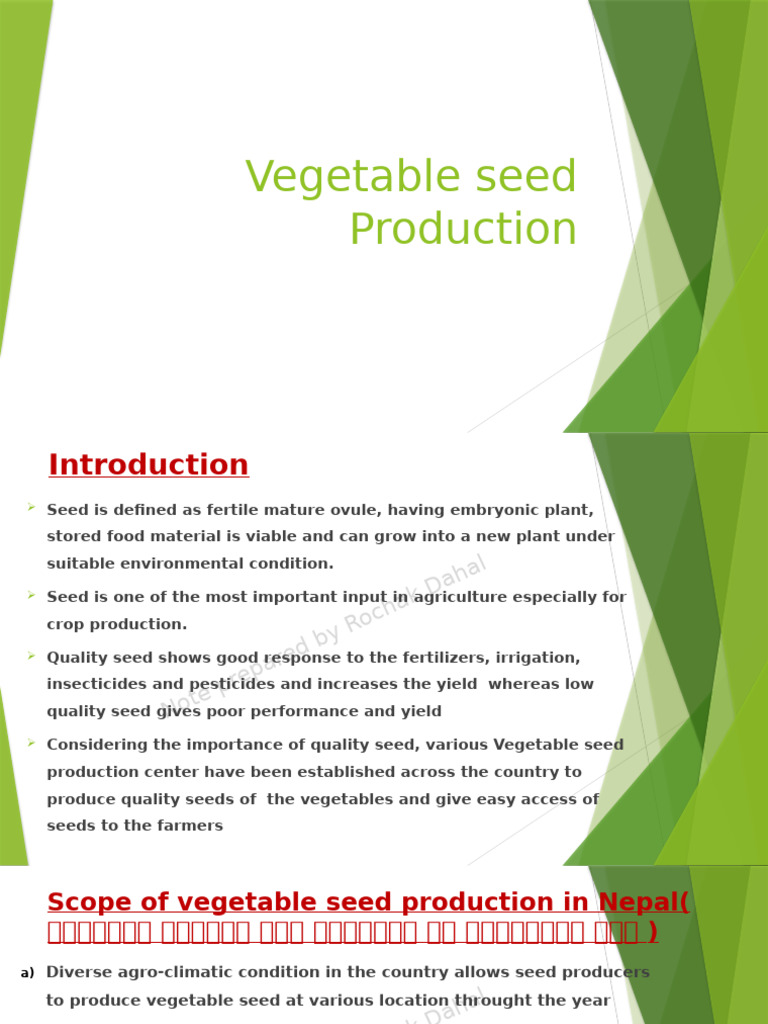 Vegetable Seed Production | PDF | Seed | Flowers