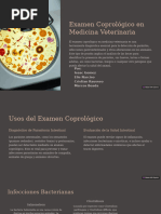 Coprologico, Coproscopico y Coprocultivo | PDF