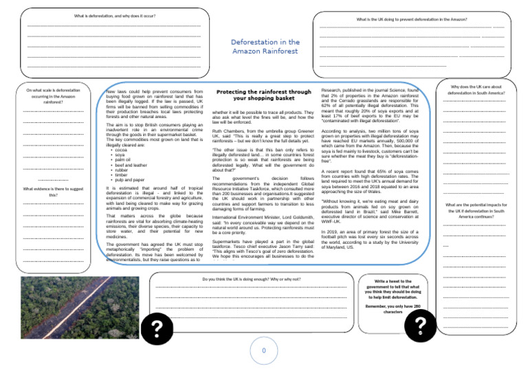 Amazon Deforestation Reading Sheet | PDF | Deforestation | Amazon ...