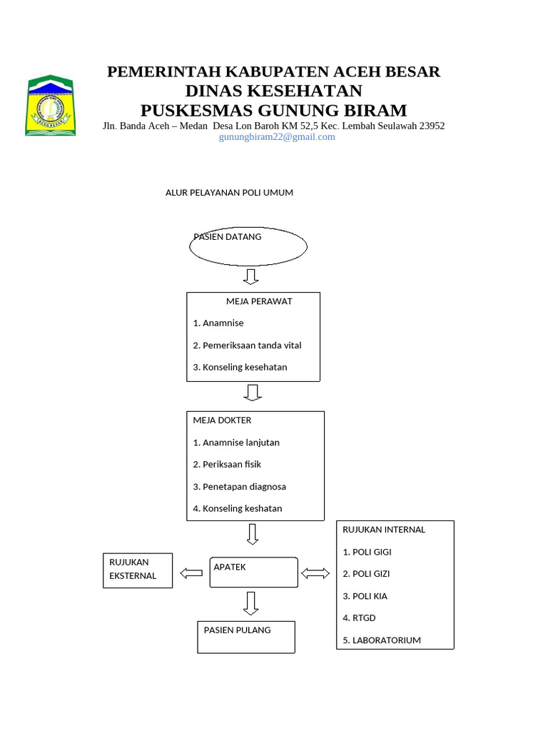 Alur Pelayanan Poli Umum Puskesmas Aceh Besar | PDF