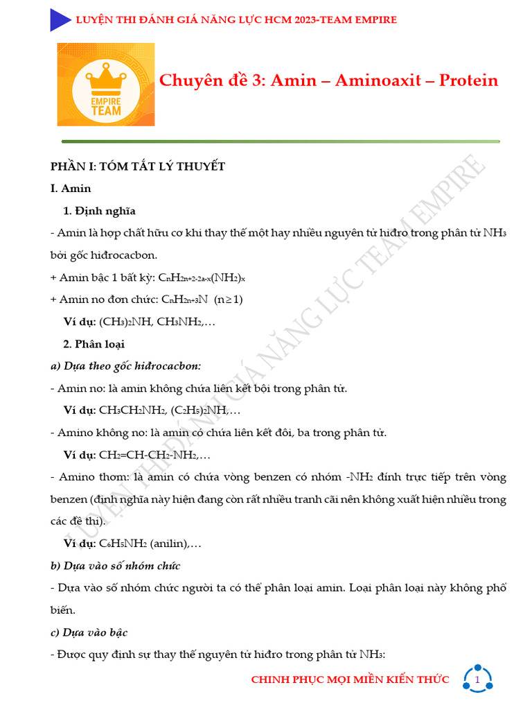Chuyên Đề. Amin Amino Axit Protein Lí Thuyết | PDF