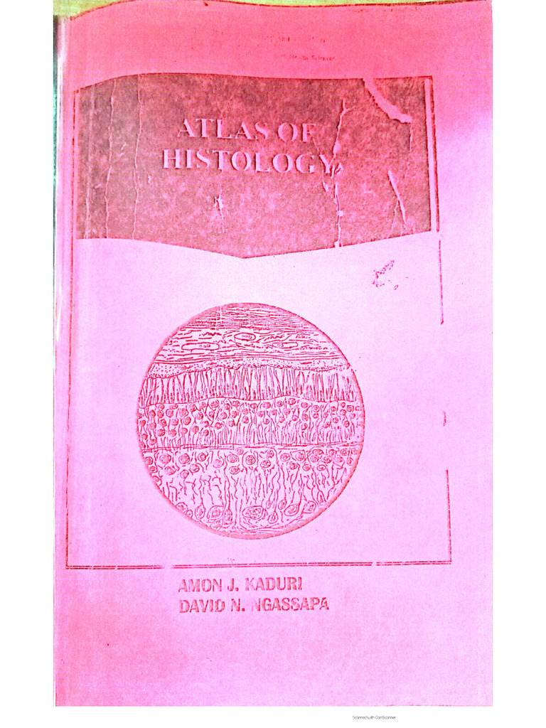 Atlas of Histology PDF | PDF