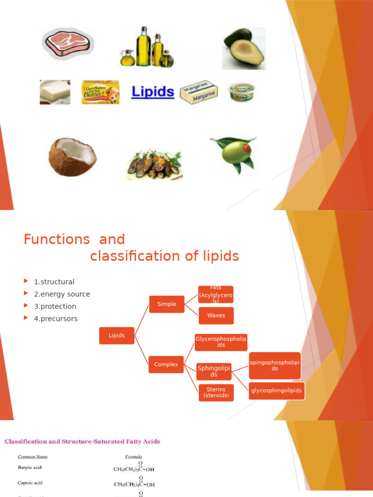 Online Class Lipids | PDF