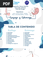 Anatomia, Irrigacion, Inervación Del Esofago y Estomago | PDF ...