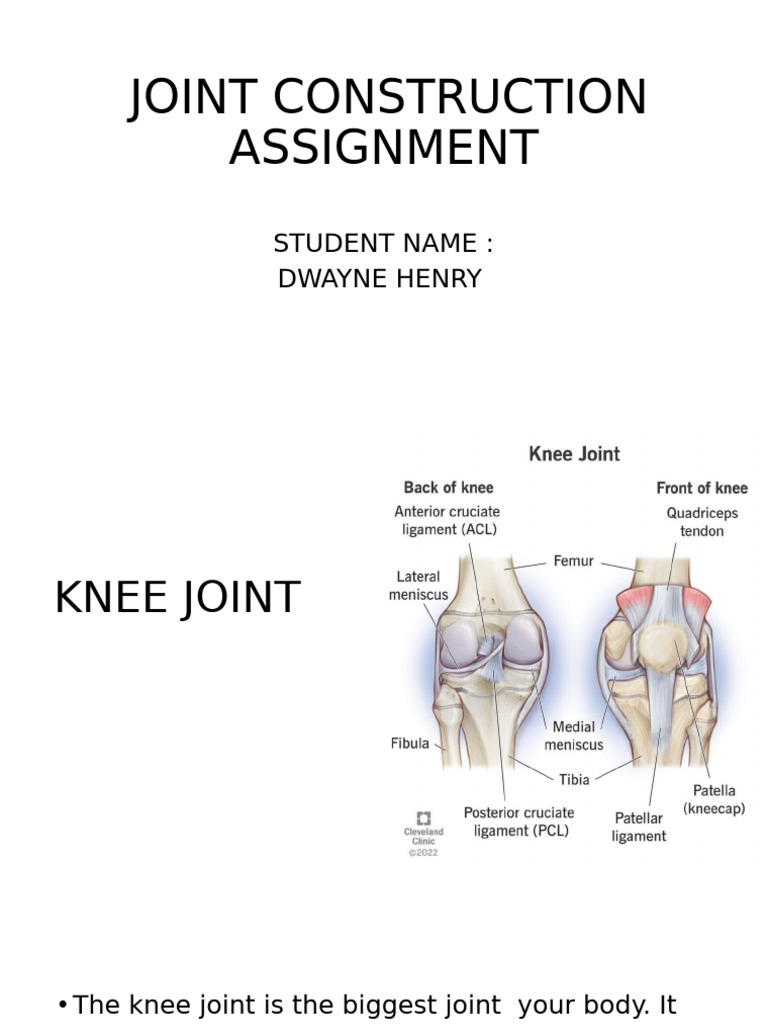 Knee Joint Anatomy and Function | PDF | Knee | Osteoarthritis