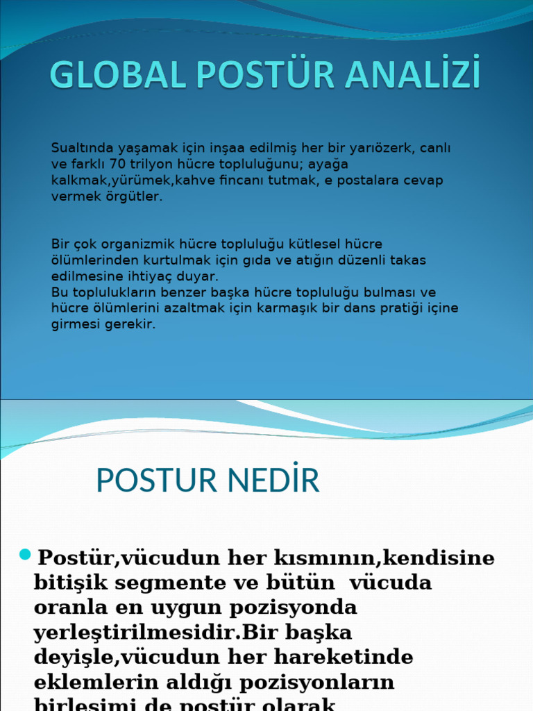 Global Postür Anali̇zi̇ | PDF