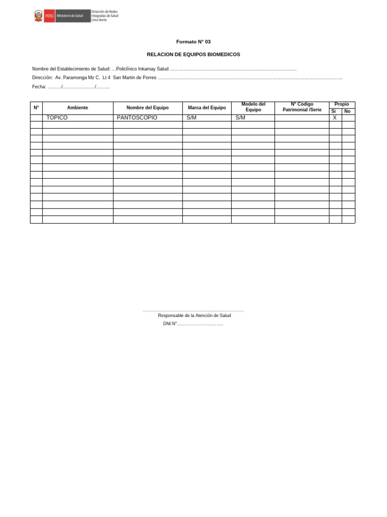 Formato-03 - SMP Por Llenar | PDF