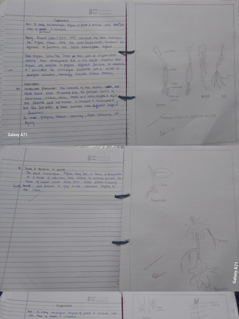 Bio Experiment | PDF