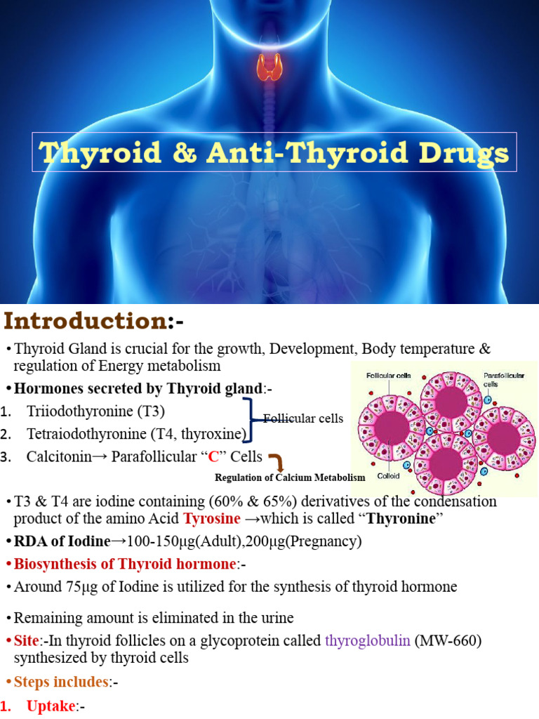 Thyroid - Antithyroid Drugs-BDS | PDF | Thyroid | Hyperthyroidism