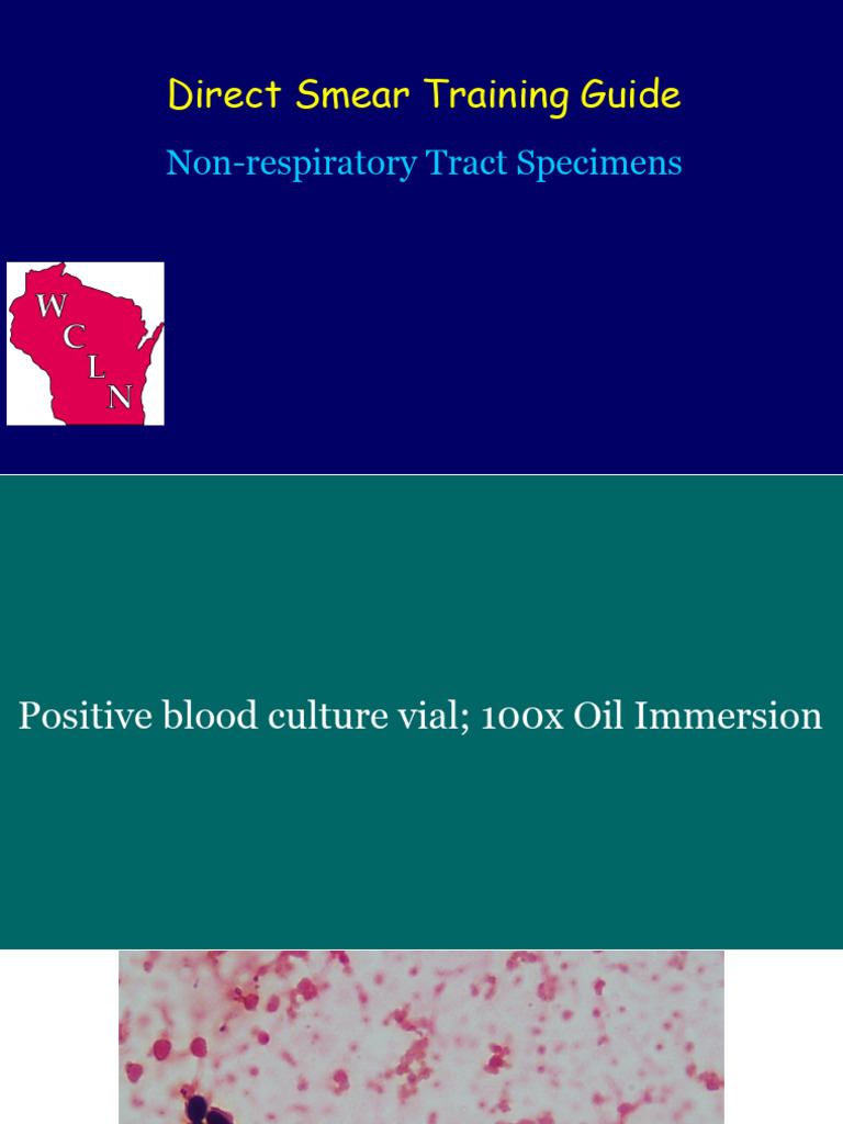 Non Respiratory Tract Direct Smear Exercise | PDF