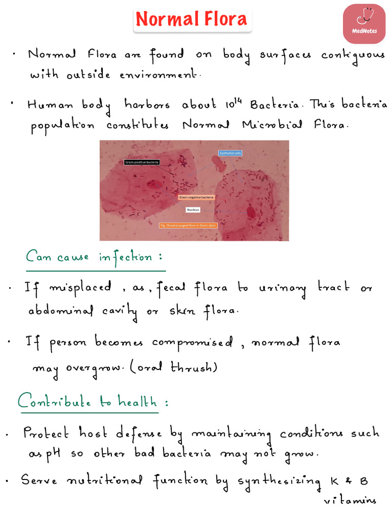 1. Normal Flora | PDF | Diseases And Disorders | Medical Specialties