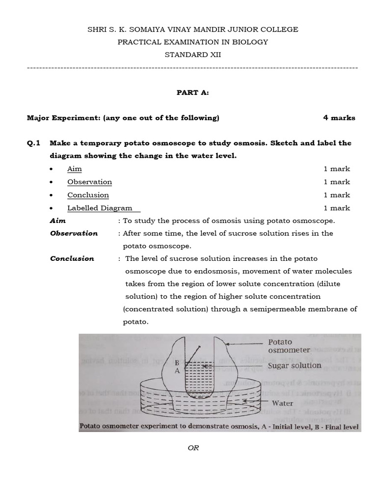 Biology Practicals (New Syllabus - 2023-24) (Exam) | PDF | Meiosis ...