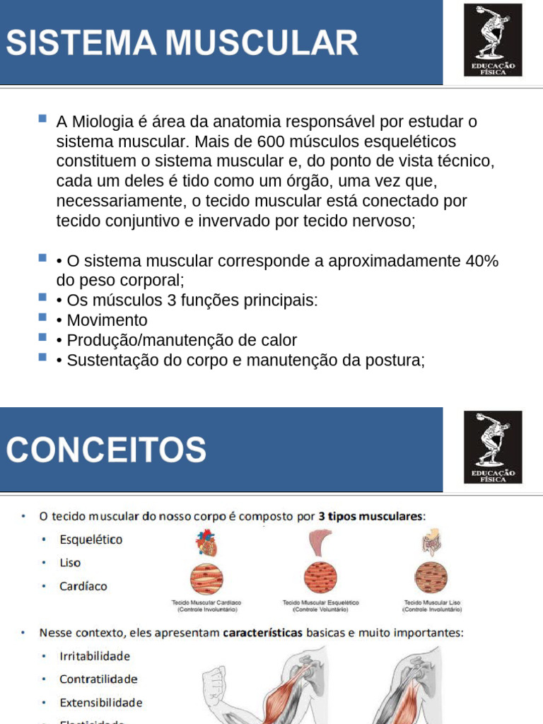 AULA SISTEMA MUSCULAR ANATOMIA | PDF | Músculo | Anatomia