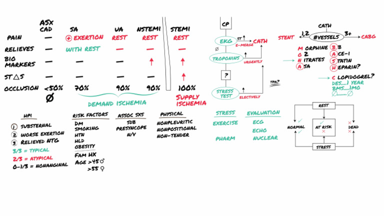 White Screen | PDF