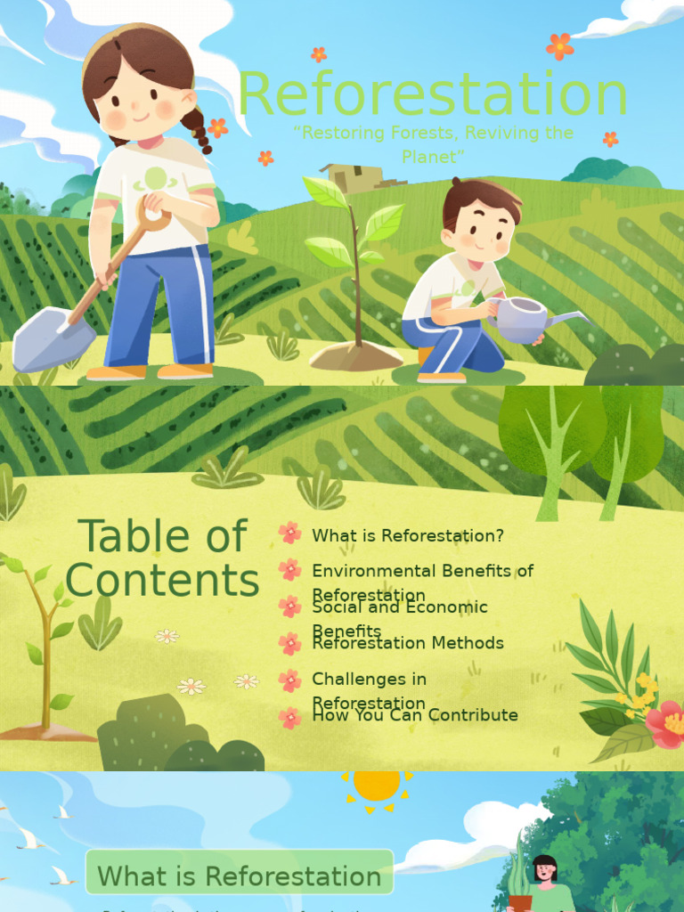 Benefits and Methods of Reforestation | PDF