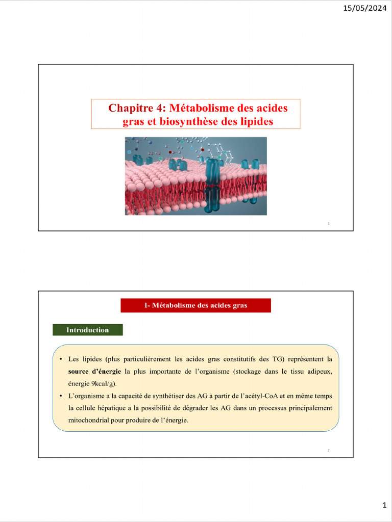 Biochimie Métabolique Partie 3 | PDF