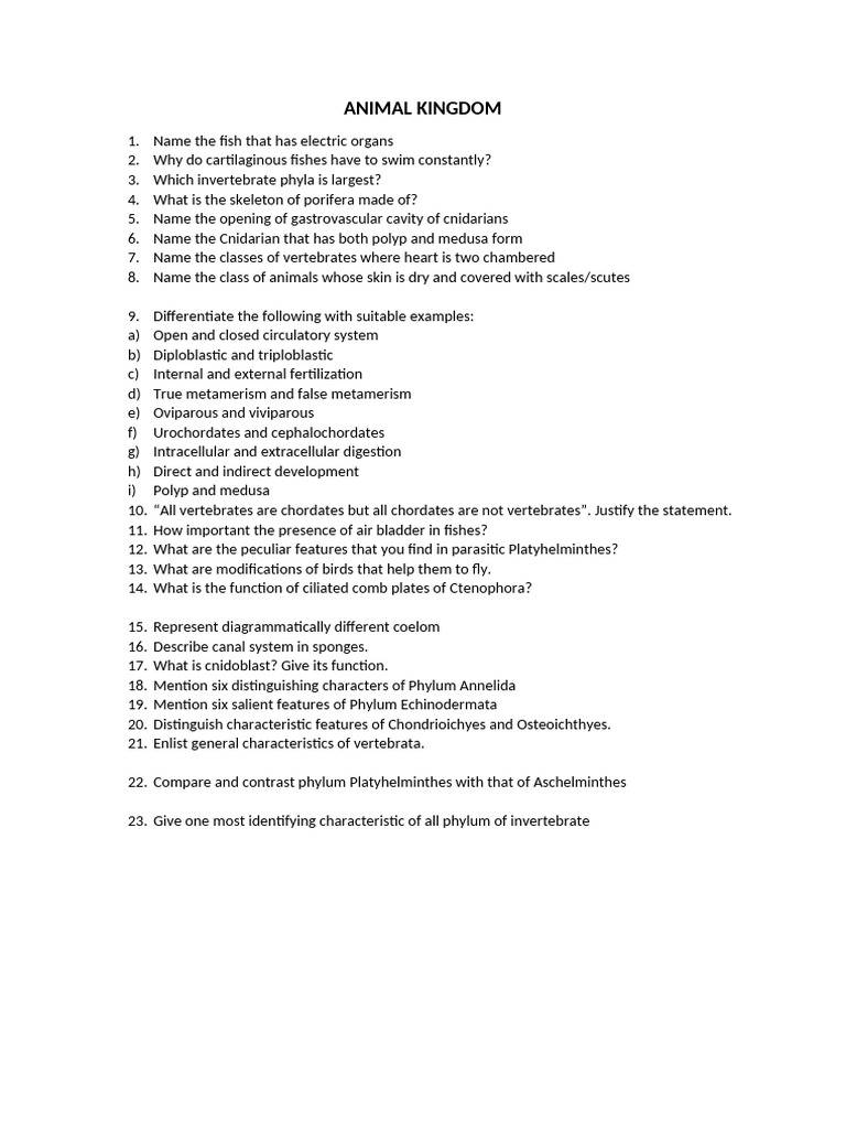 ANIMAL KINGDOM Worksheet | PDF