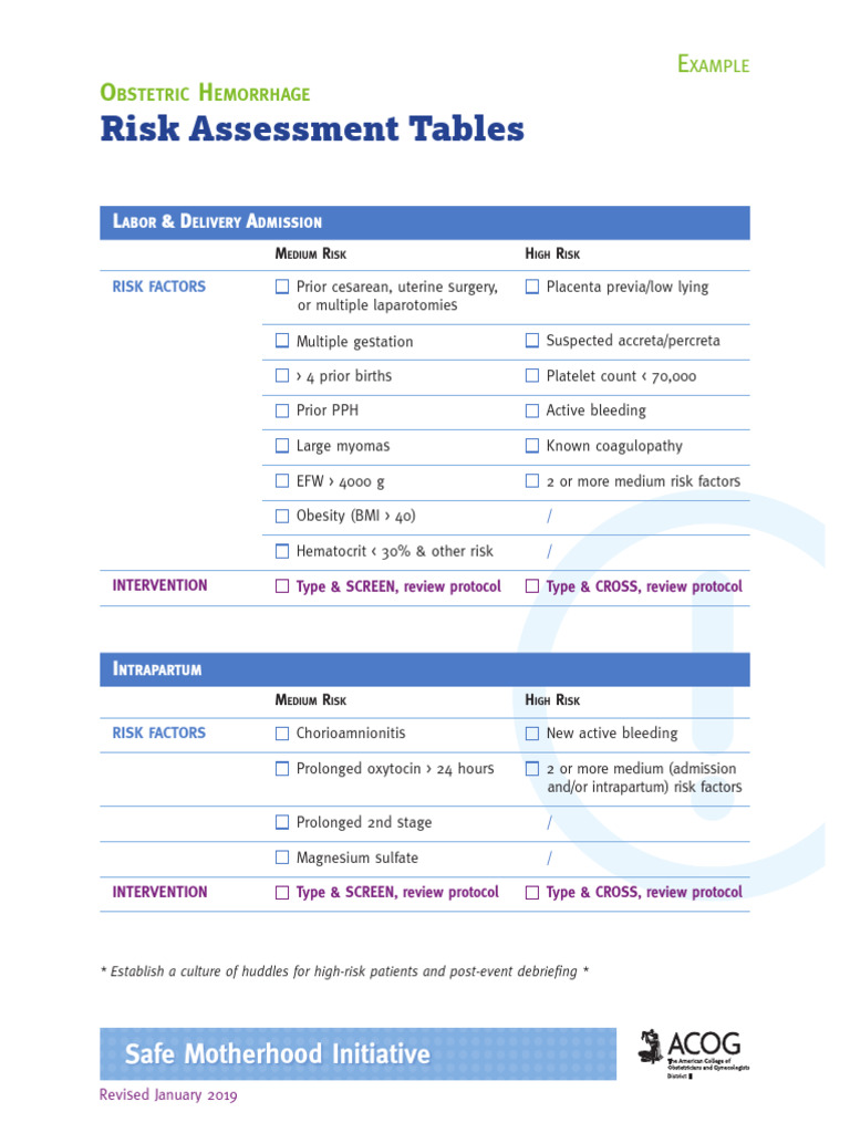 SMI Ob Hemorrhage Bundle Risk Assessment LD Admin Intrapartum | PDF
