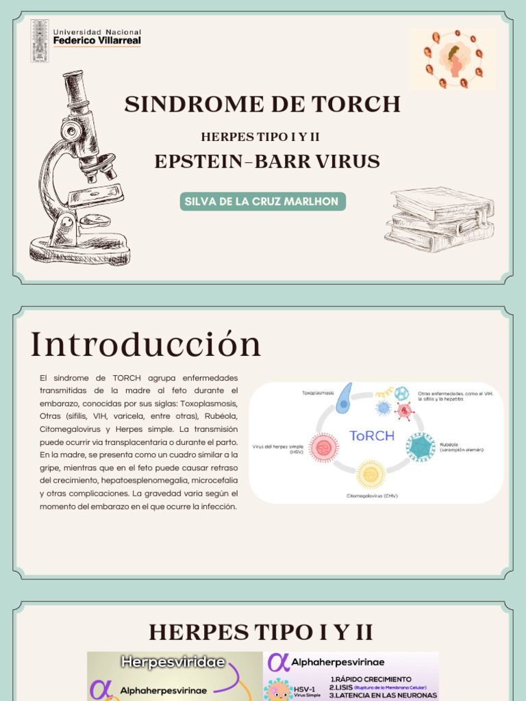 Síndrome TORCH y Herpes Simplex | PDF | Virus | Anticuerpo