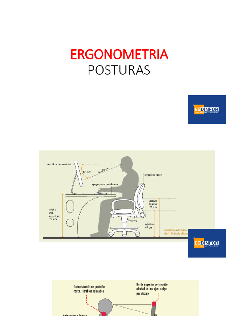 Ergonometria | PDF