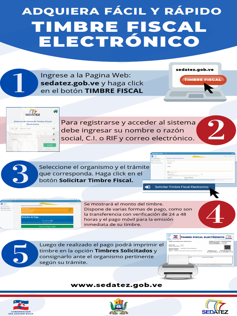 Obtén tu Timbre Fiscal Electrónico | PDF