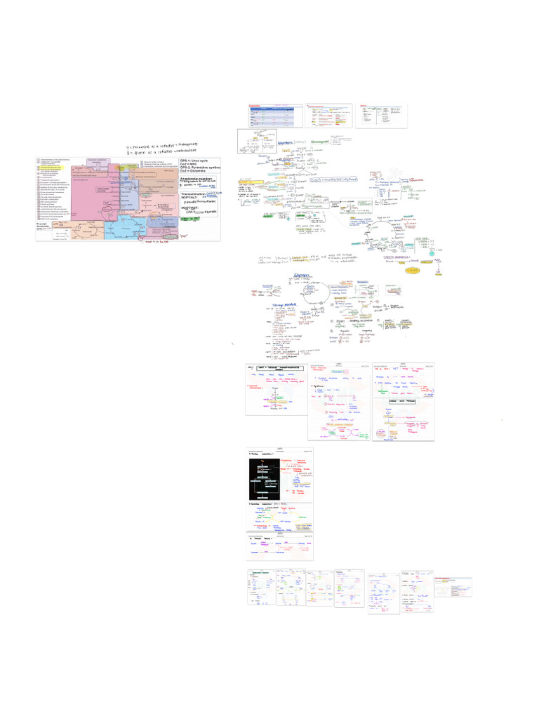Carb and Lipid | PDF