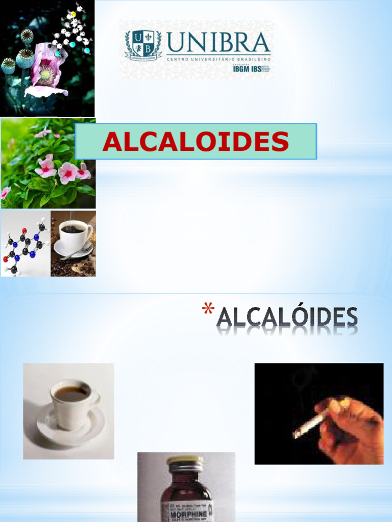 Aula 09_Alcaloides | PDF | Aminoácido | Ópio