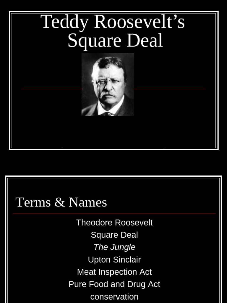 Theodore Roosevelt's Square Deal Overview | PDF | Theodore Roosevelt ...