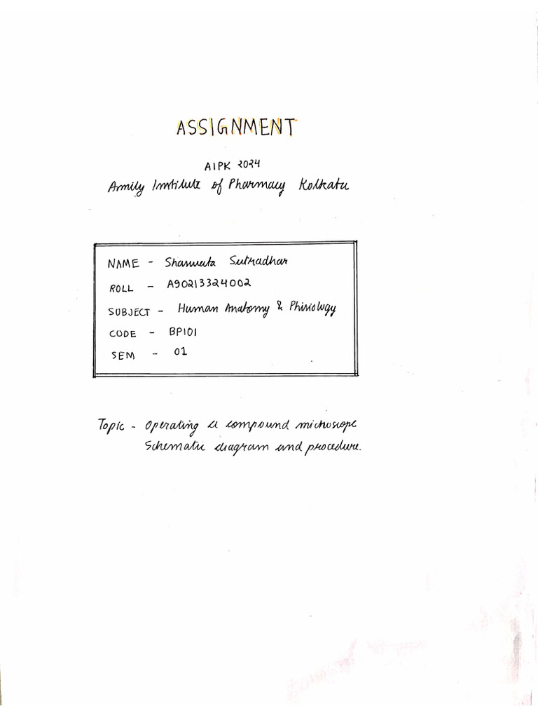 Anatomy Assignment | PDF
