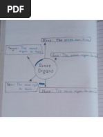 Live Wire Book 6 APS | PDF