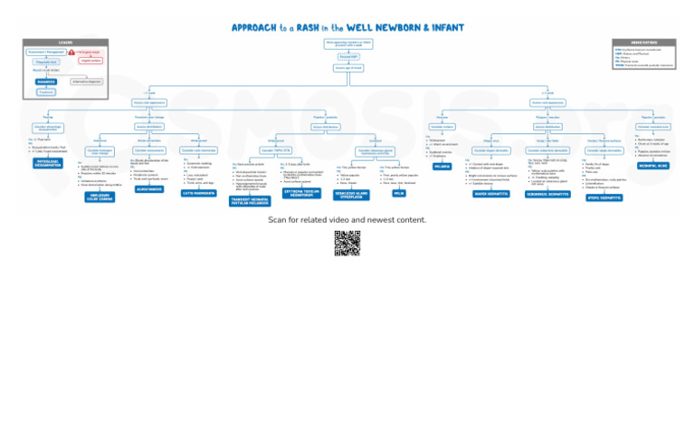 Approach To A Rash in The Well Newborn and Infant | PDF