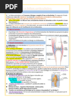 ECHELLES Spasticite | PDF