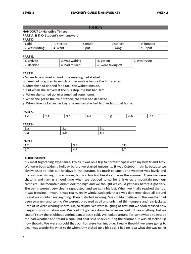 Teacher's Guide: Narrative Tenses Key | PDF