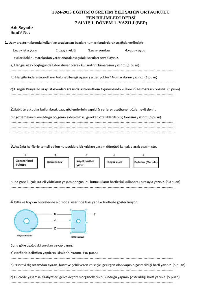 Sinif Fen Bep Sinavi | PDF