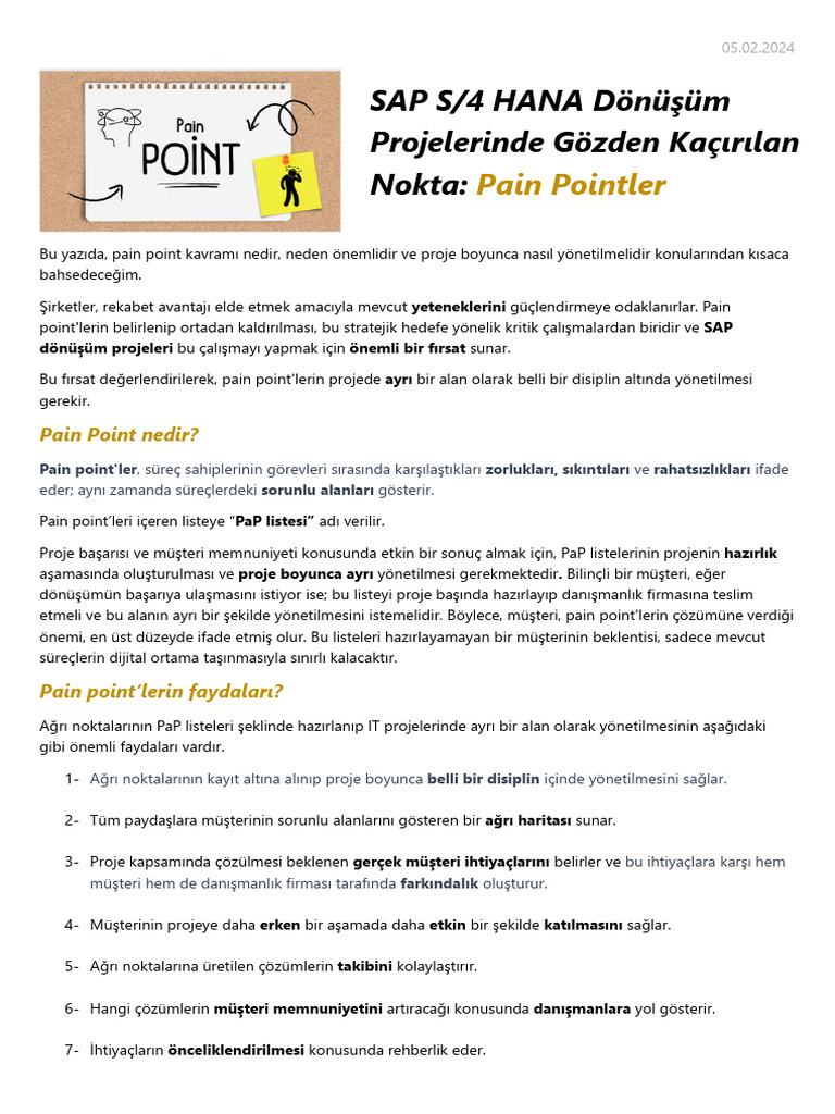 Pain Point Lerin SAP S 4 HANA Projelerinde Kullan M 1707074840 | PDF