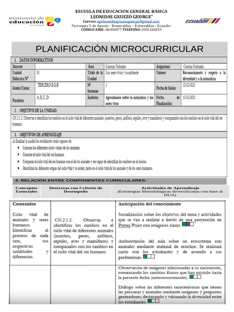 Ejemplo de Planificaciòn Microcurricular | PDF
