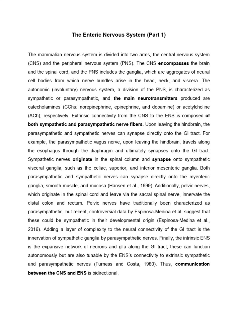 Overview of the Enteric Nervous System | PDF | Nervous System | Nerve