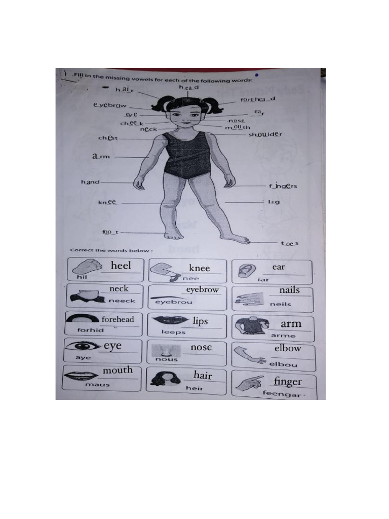 5 TH Practice Body' S Parts | PDF