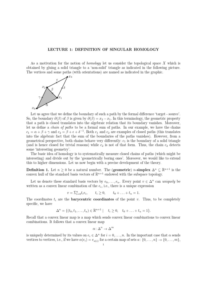Understanding Singular Homology Concepts | PDF | Geometry | Basis ...