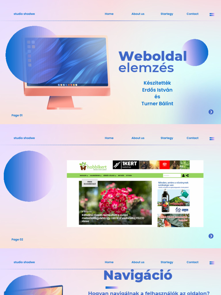 Weboldal Erdos Istvan Turner Balint | PDF