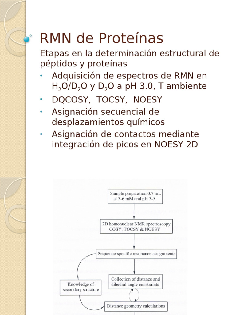RMN de ProteÃ Nas | PDF