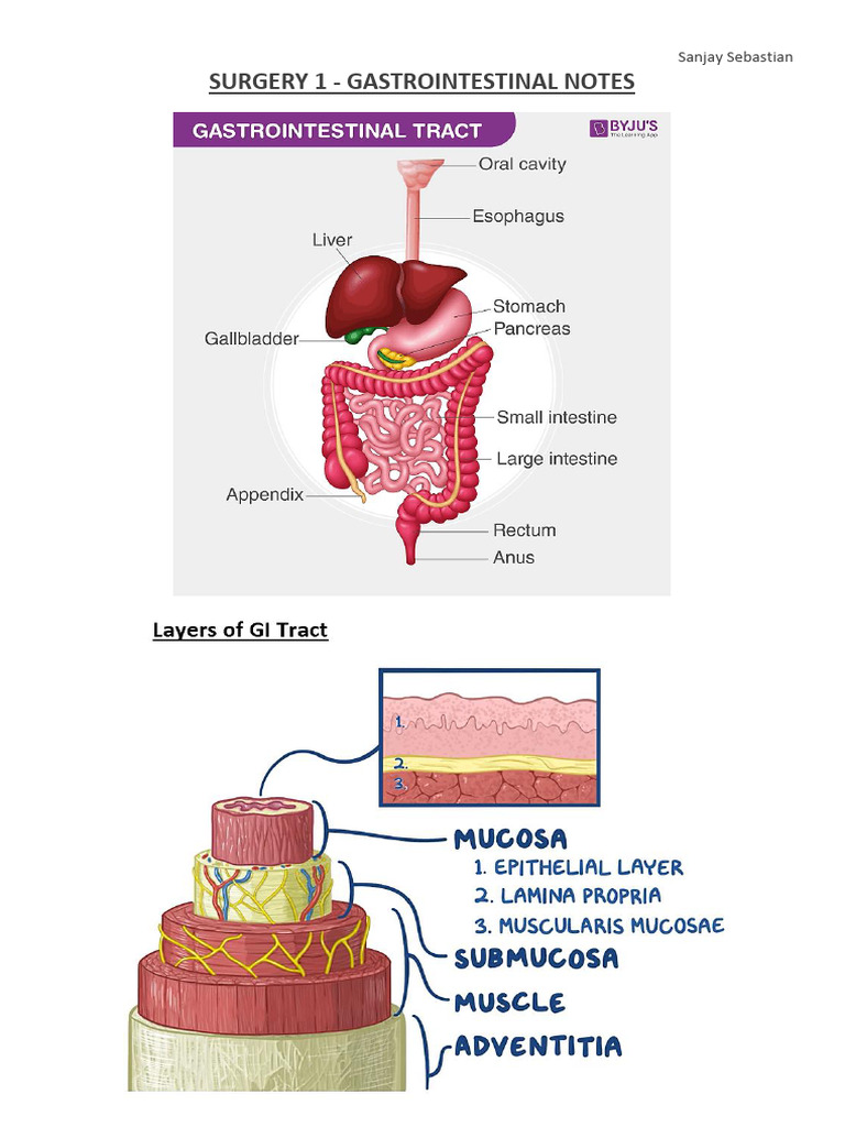 Gastrointestinal Surgery Notes Overview | PDF | Pancreas ...