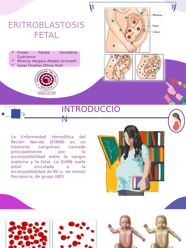 Eritroblastosis Fetal: Causas y Prevención | PDF | Medicina | Enfermedades y trastornos